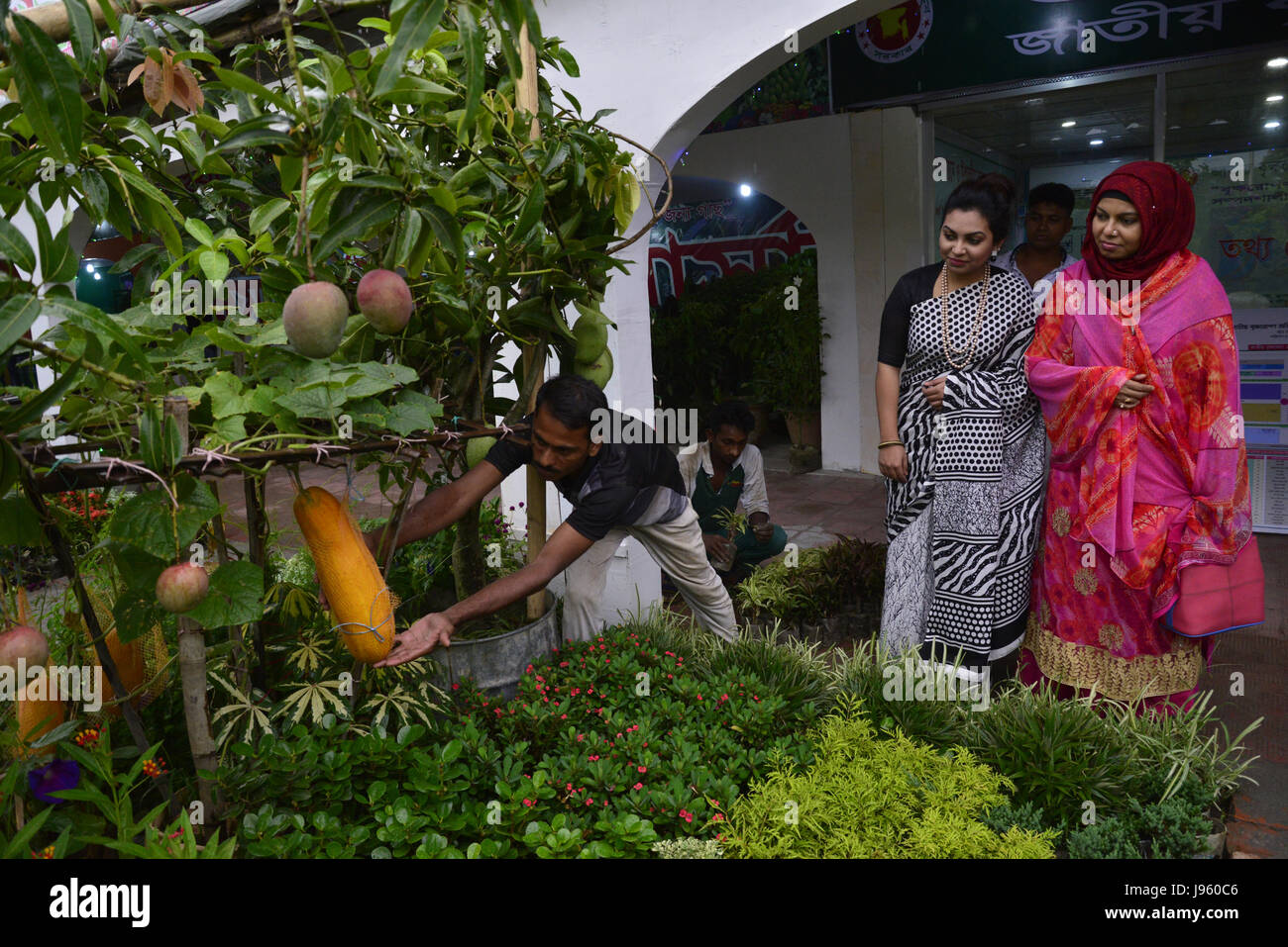 Bangladeshi peoples visits in the National Tree Fair at Agargaong in ...