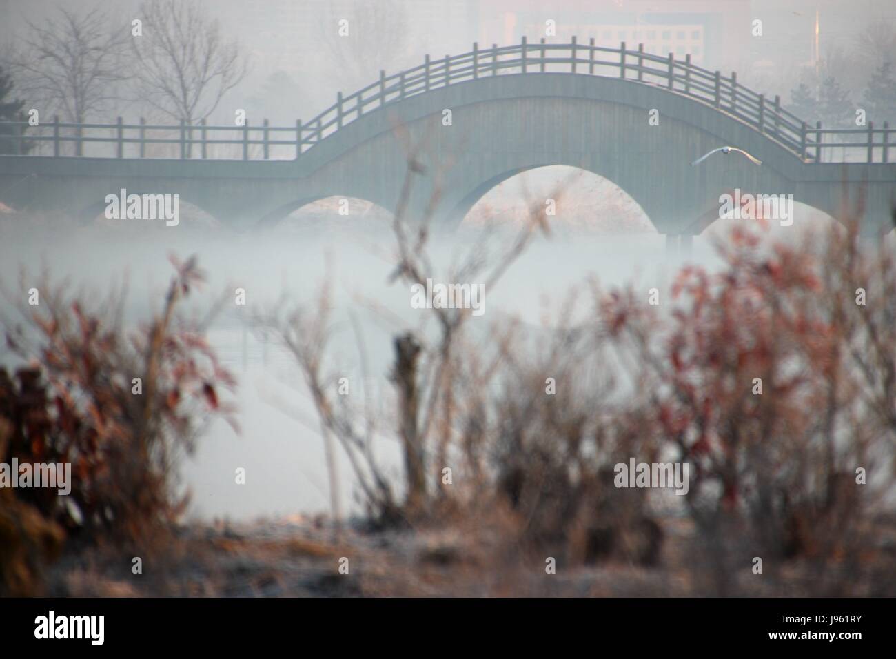 China. 5th June, 2017. Wetland in Rongcheng, east China's Shandong ...