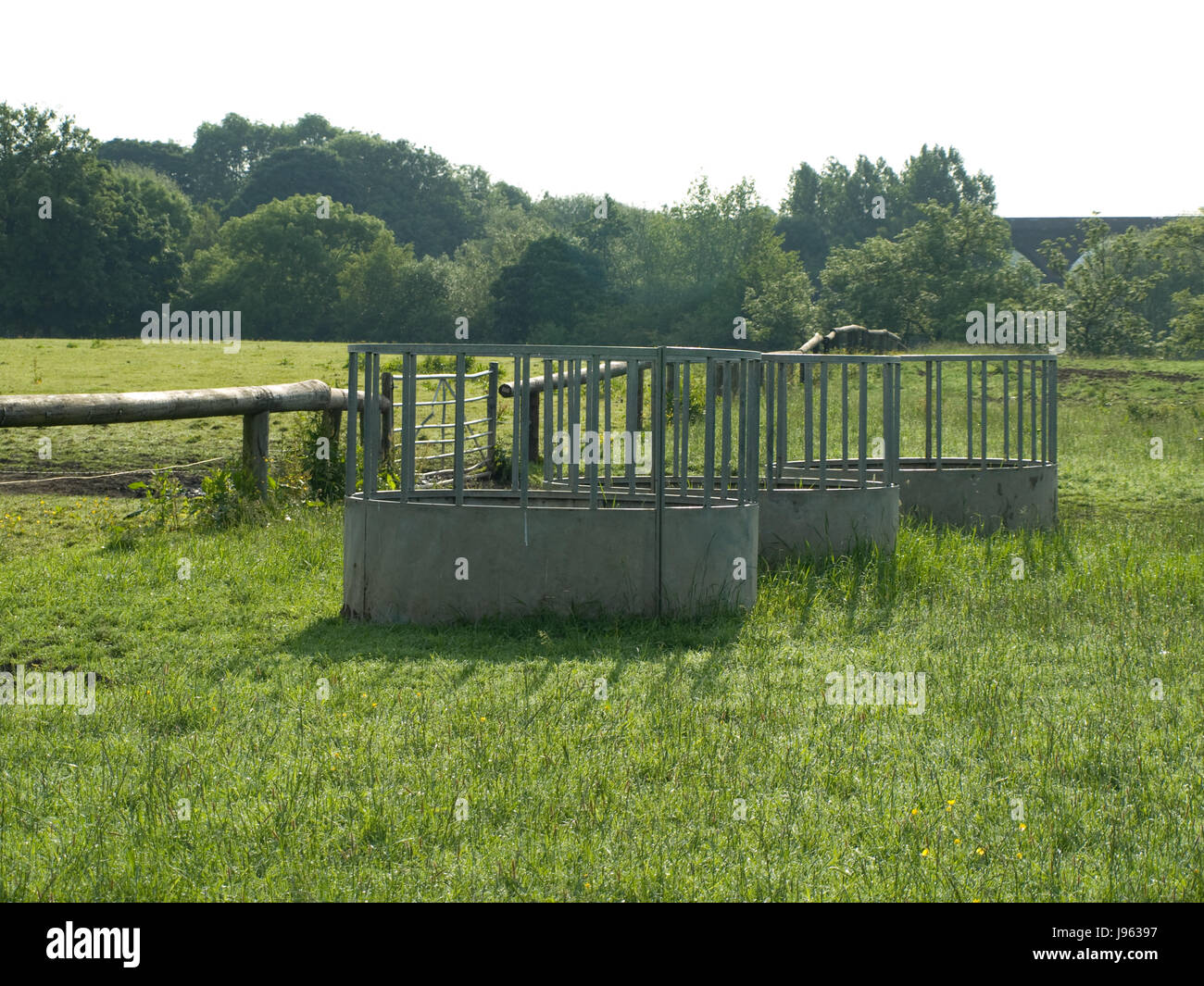 Food troughs hi-res stock photography and images - Alamy