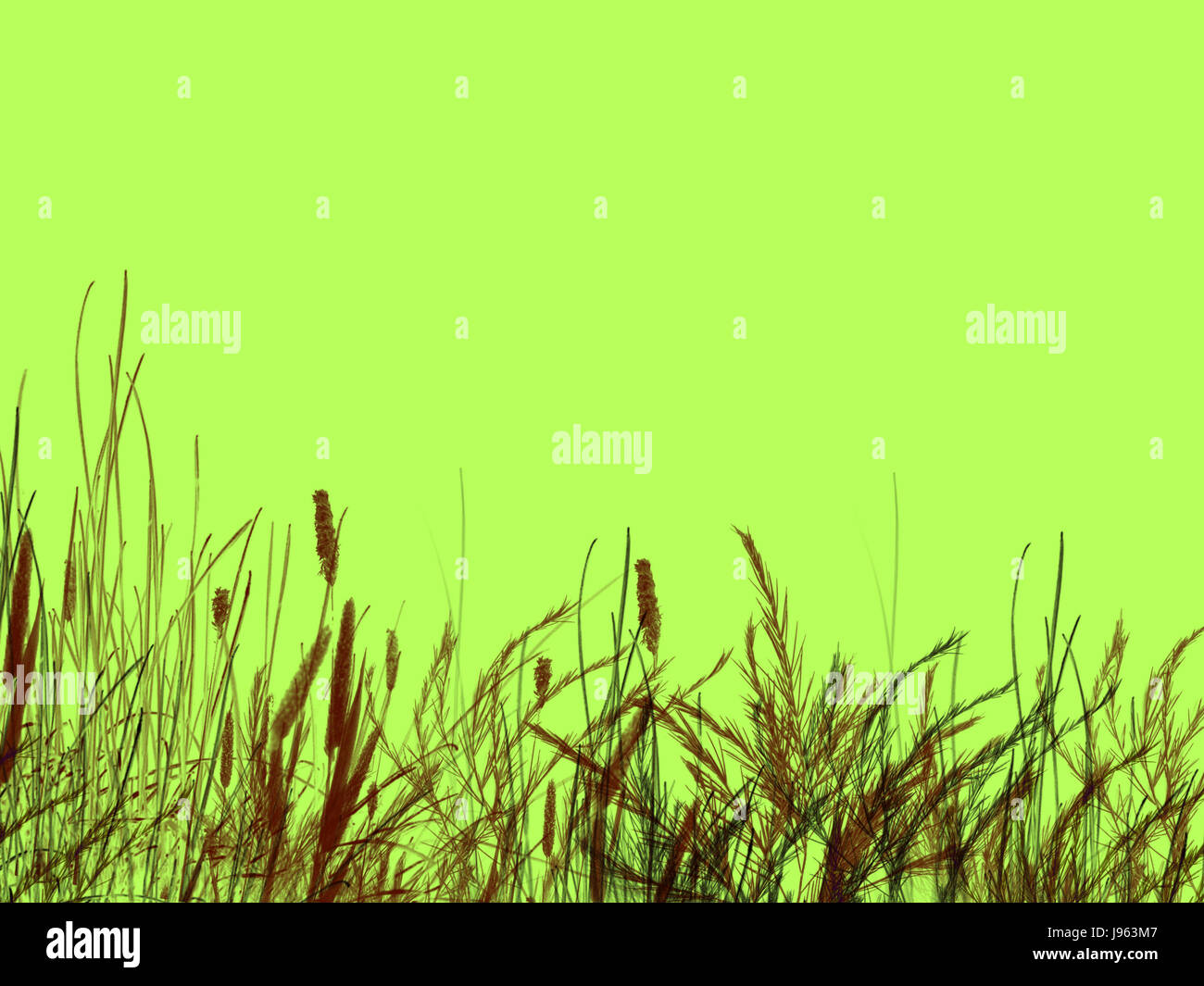 leaf, environment, enviroment, art, model, design, project, concept ...