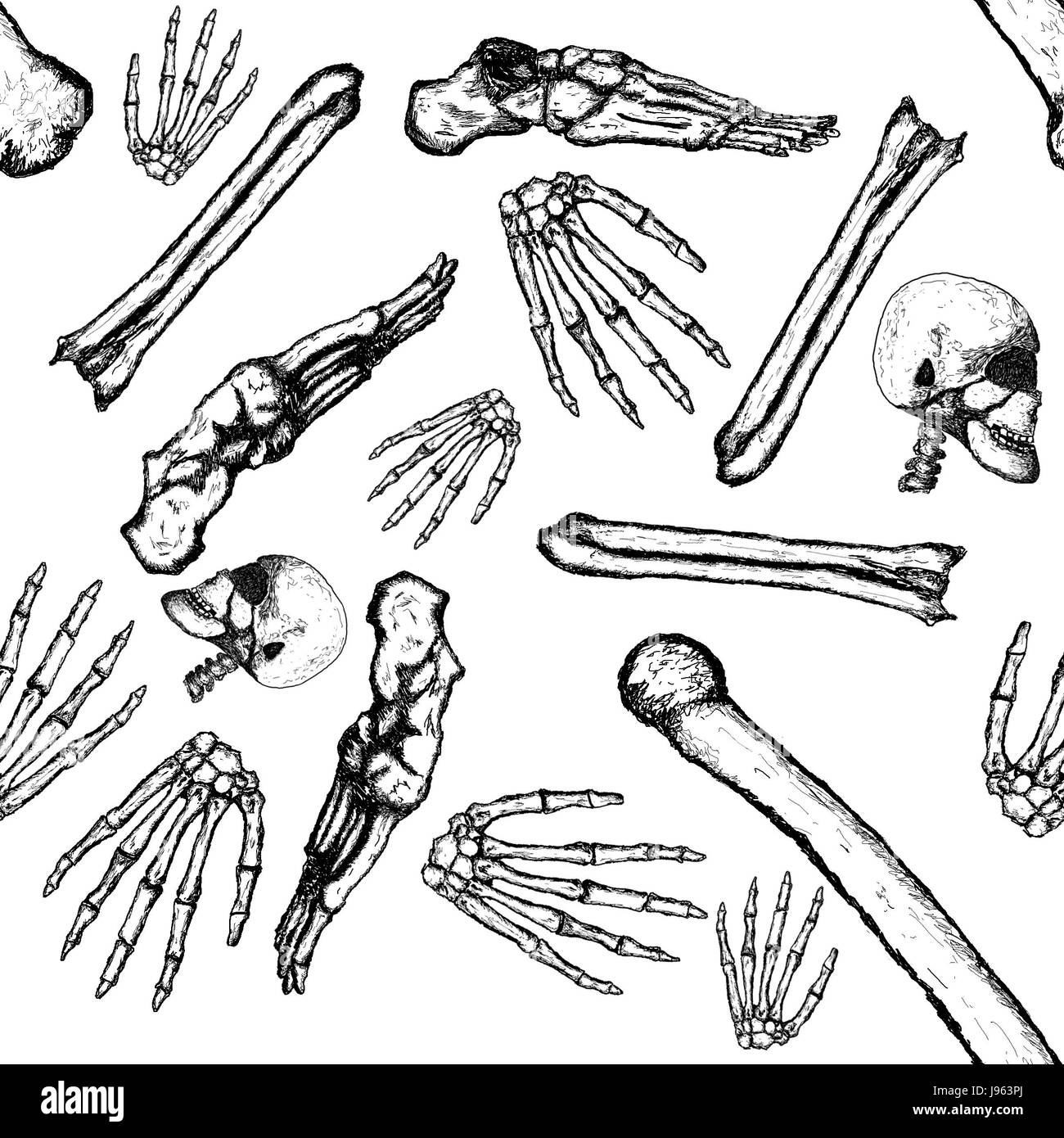 Biology art Black and White Stock Photos & Images - Alamy