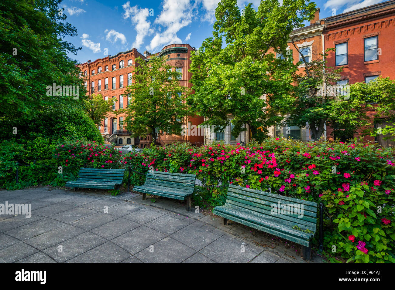 Benches and flowers at Park Avenue Median Park, in Bolton Hill ...
