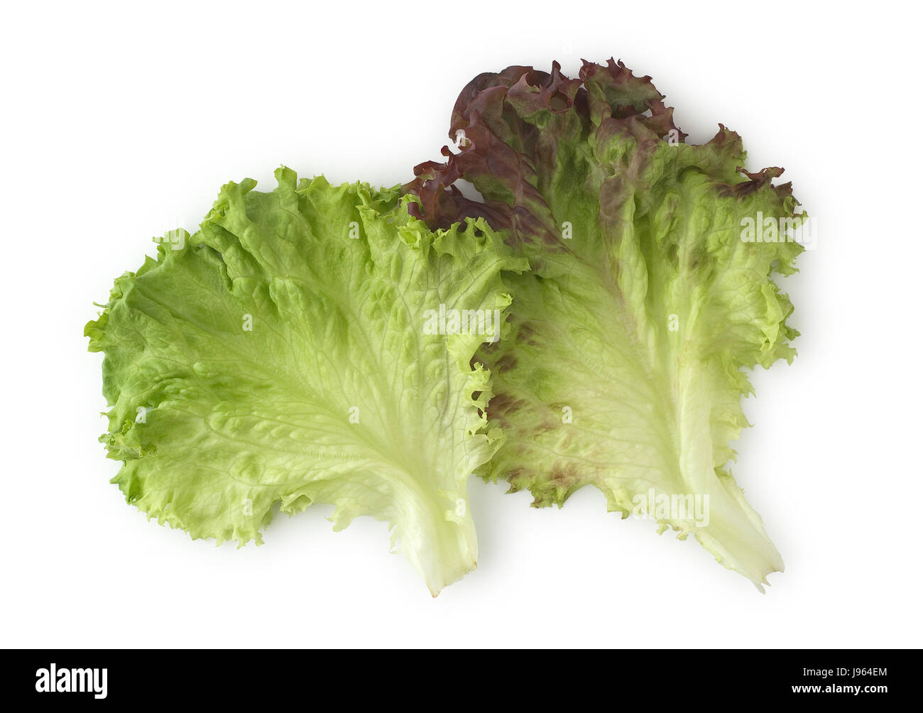 food, aliment, boil, cooks, boiling, cooking, vegetable, vegetarian ...