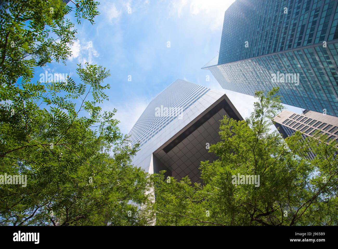 skyscrapers, skyscraper, tree, trees, high, looking up, tall, new york ...