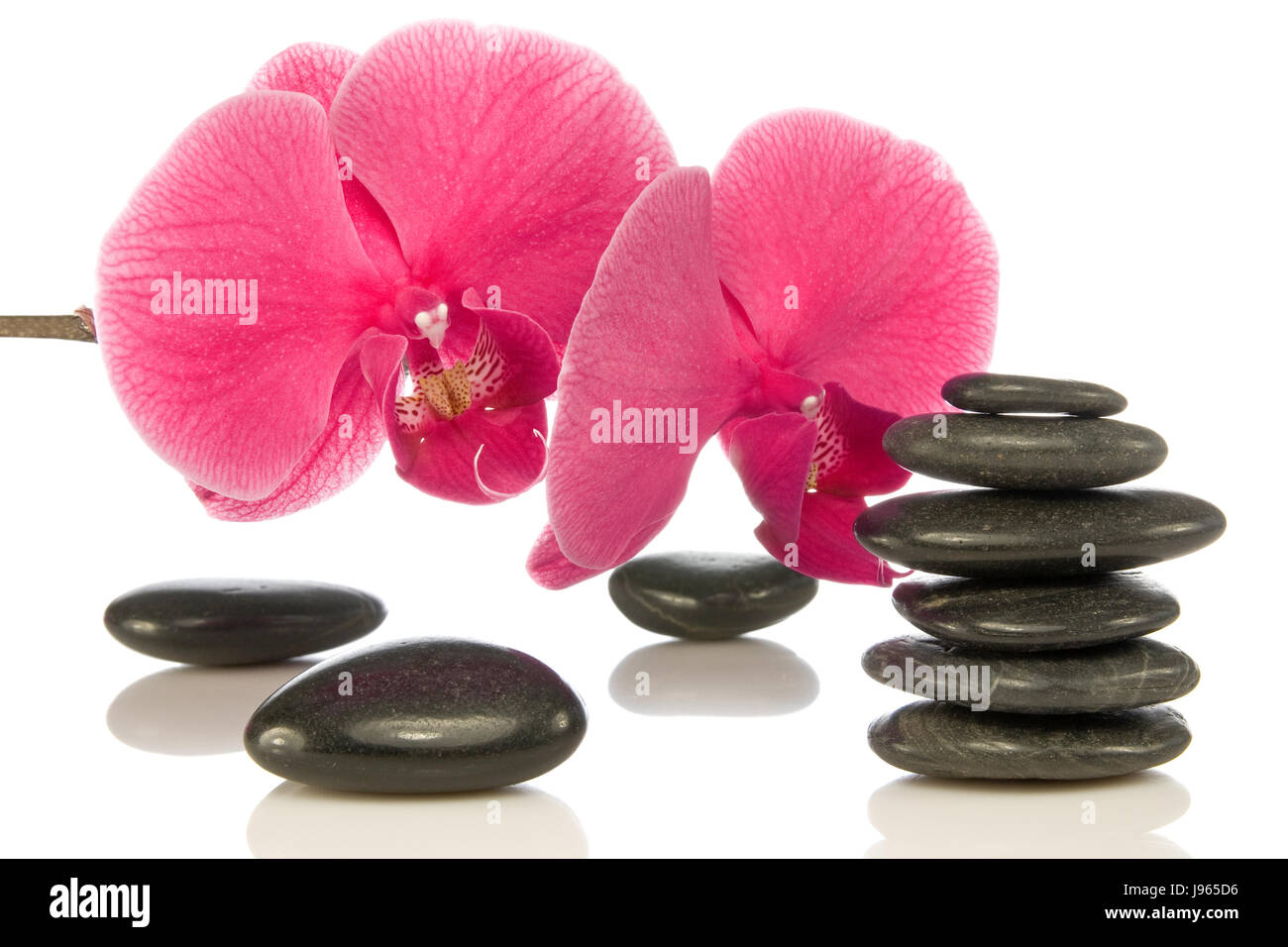 stone, flora, therapy, pebble, spa, mineral spring, medicinal spring ...