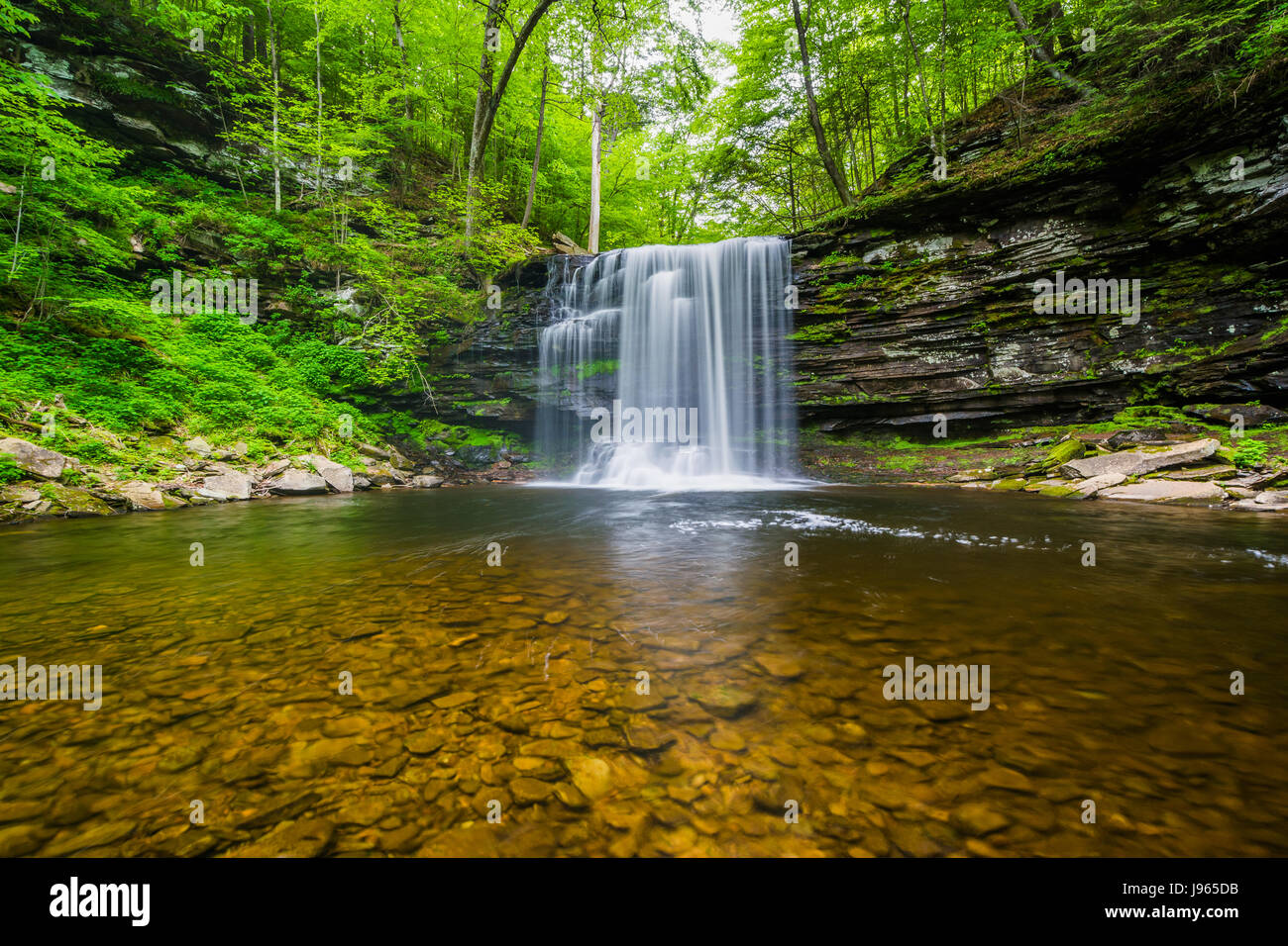 Harrison Wright Falls, at Ricketts Glen State Park, Pennsylvania Stock ...