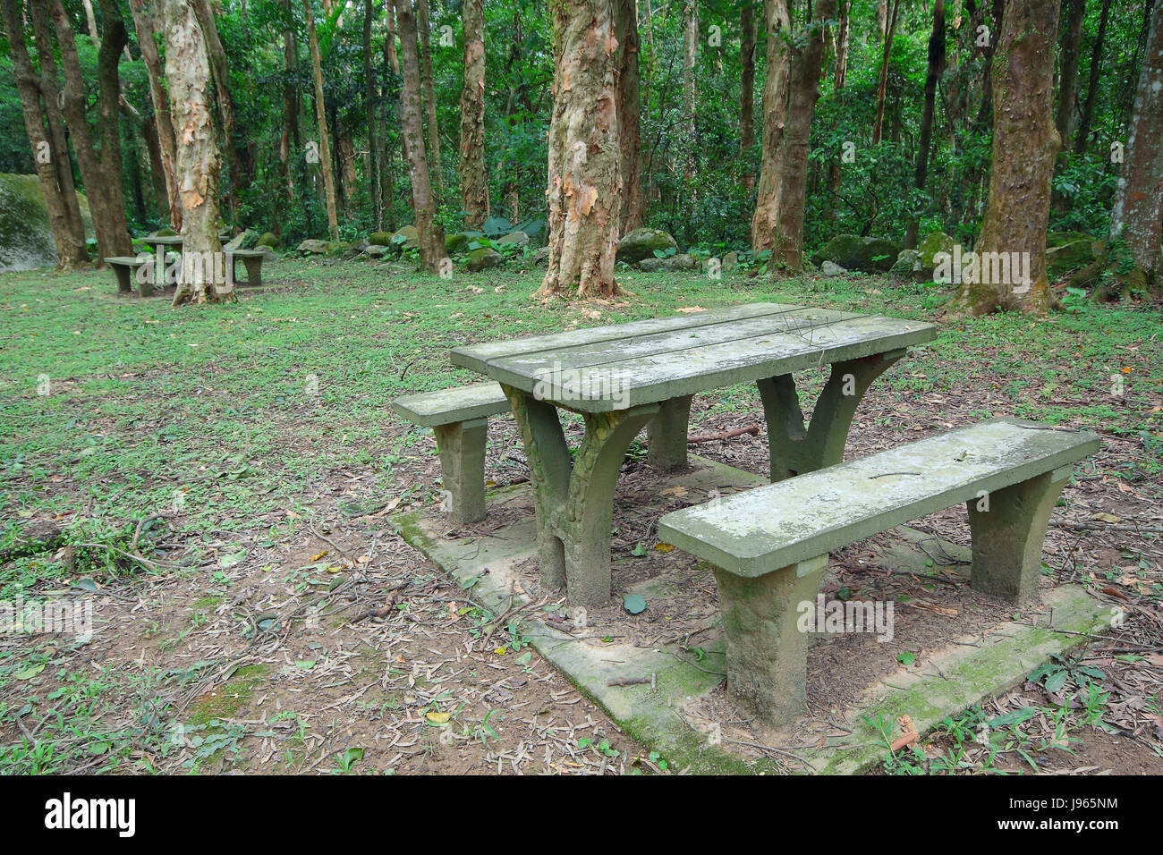 Picnic place in forest Stock Photo - Alamy