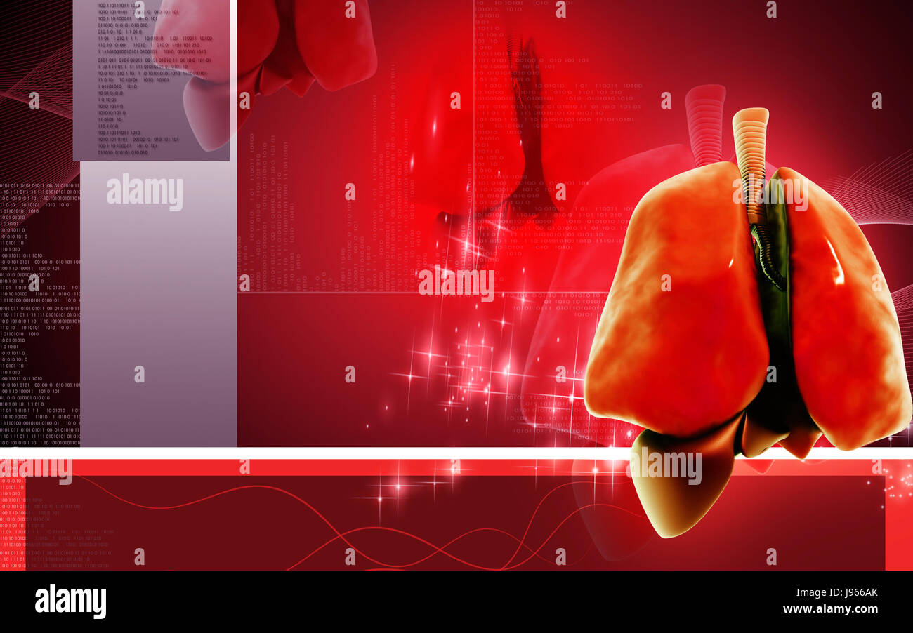 education, health, medicinally, medical, graphics, colour, science ...
