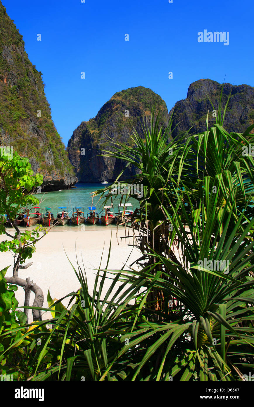 Maya Bay, Ko Phi Phi Leh Island, province Krabi, Andaman Sea, Thailand Stock Photo - Alamy