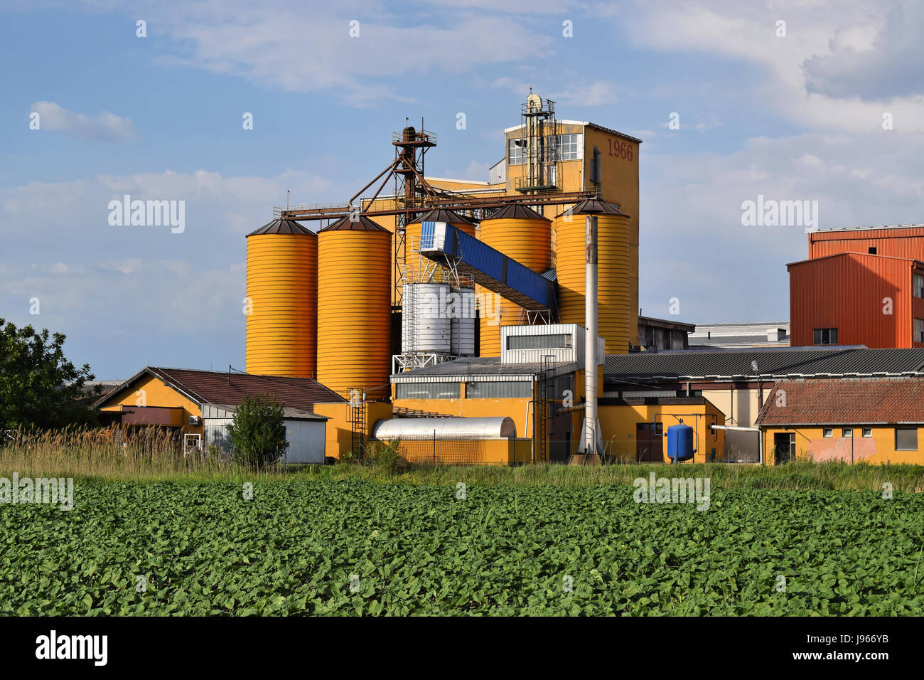 Yellow silo and sunflower field in dusk Stock Photo - Alamy