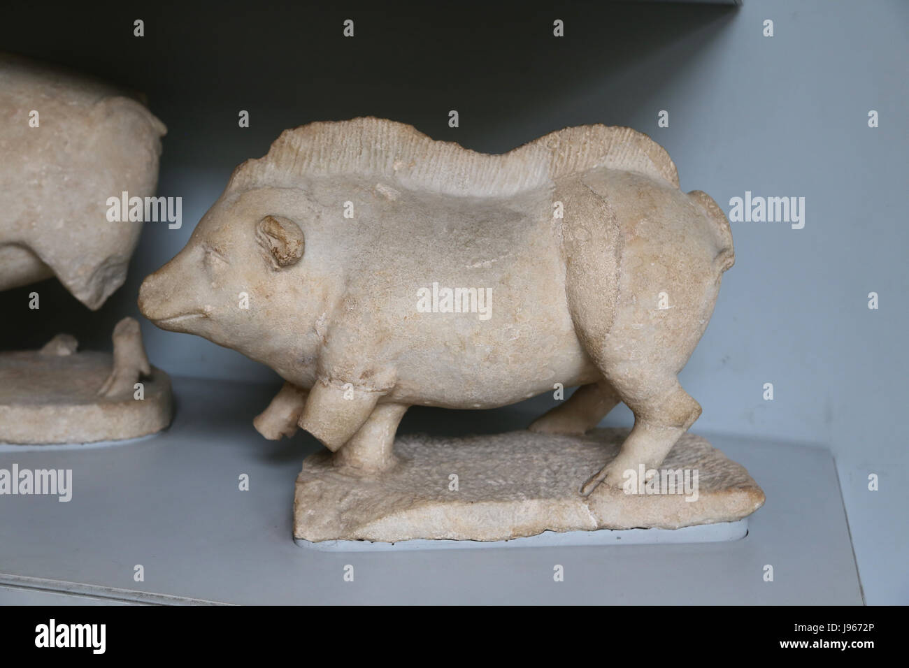 Sacrificial animals. Pig. Animal sculpture from sanctuary. 350-300 BC ...