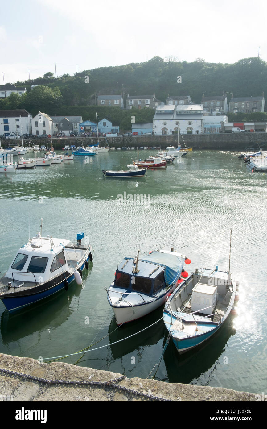 Loe Bar Porthleven harbour beach waves sea pinks Stock Photo - Alamy