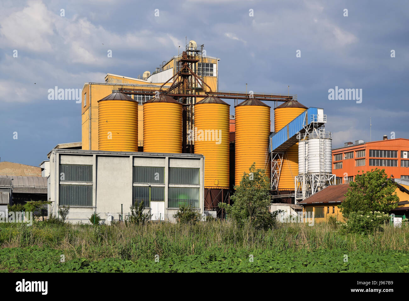 Yellow silo and sunflower field in dusk Stock Photo - Alamy