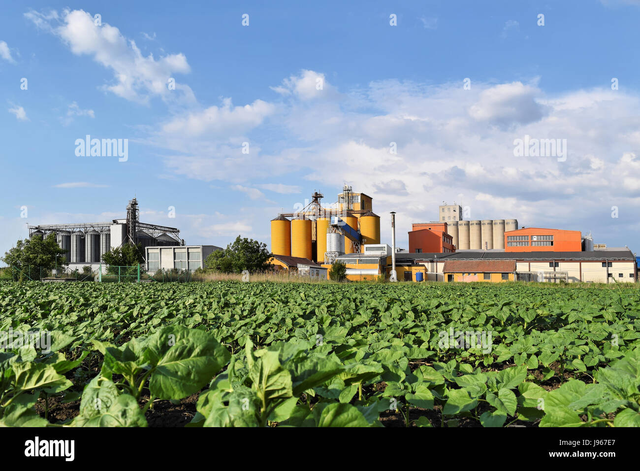 Three silos hi-res stock photography and images - Alamy