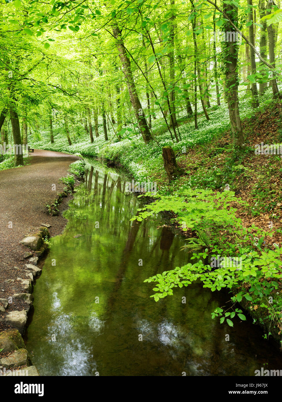 Skipton castle woods in spring hi-res stock photography and images - Alamy