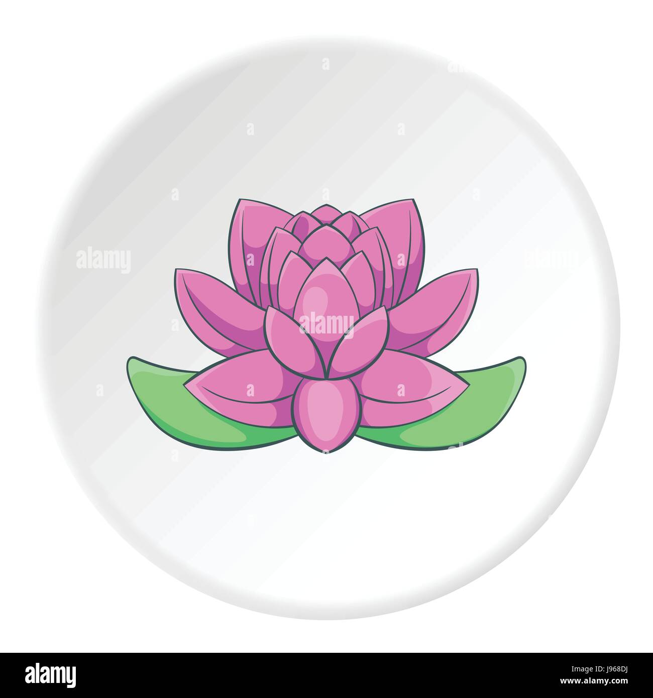 Lotus Flower Animation