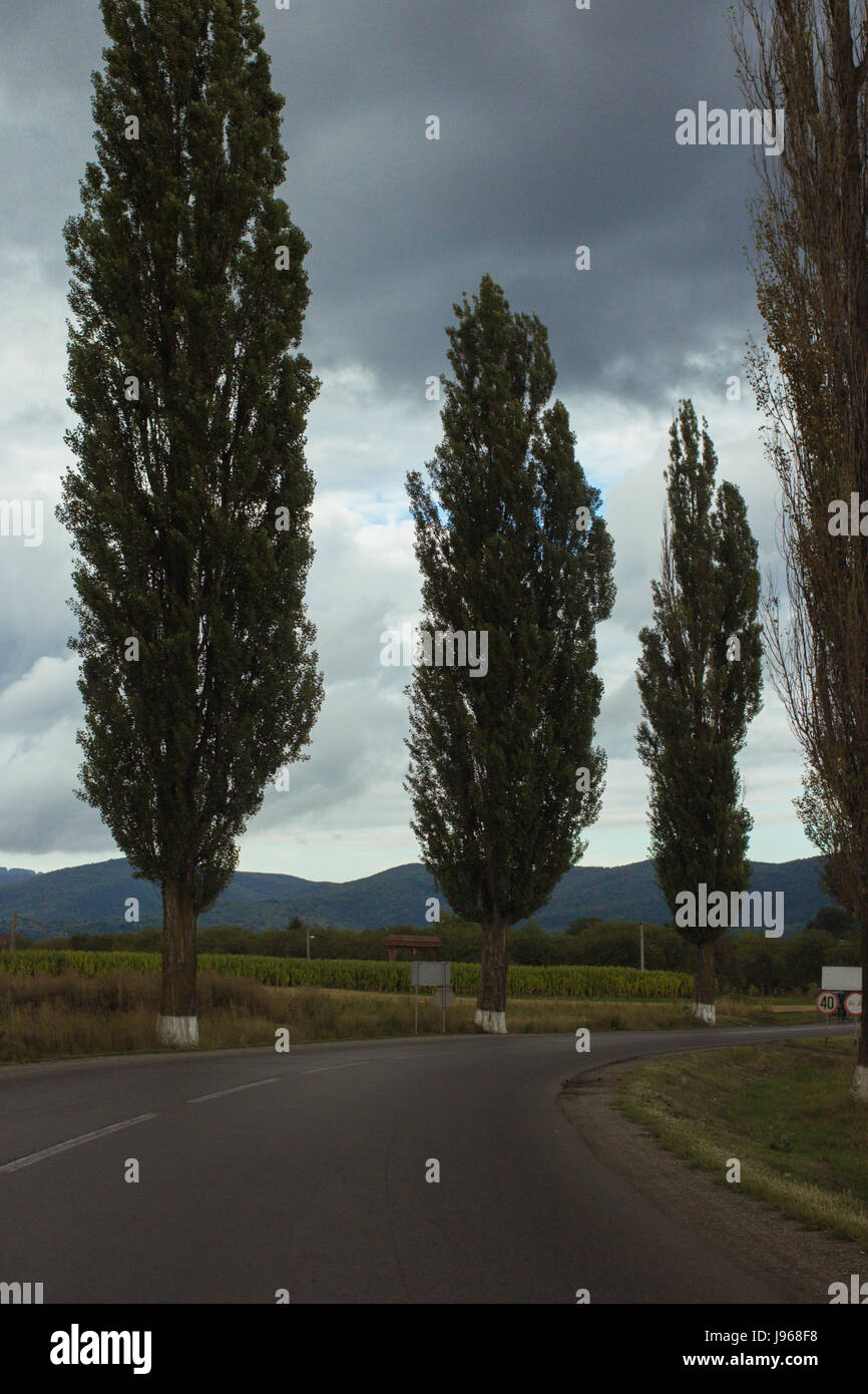 Proper lane hi-res stock photography and images - Alamy