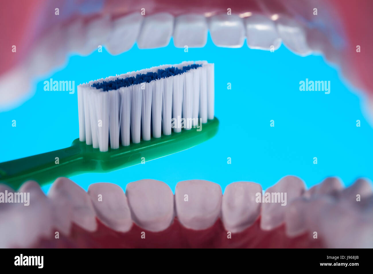 health, teeth, dentist, human, human being, tooth, dental, jagged ...