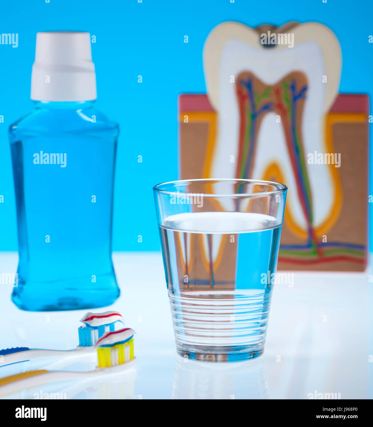 health, brush, bristles, clean, bathroom, dental, paintbrush, brushing ...