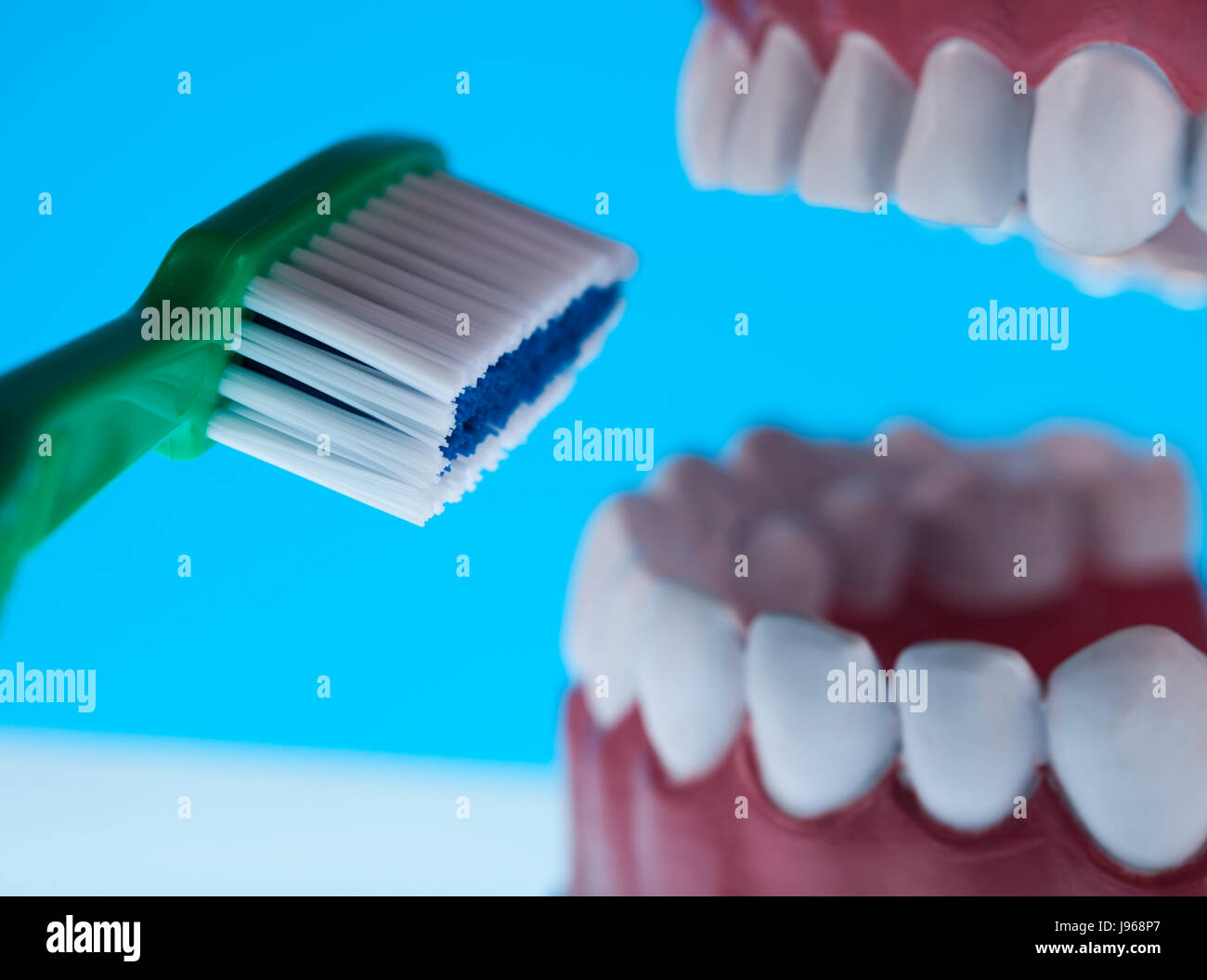 health, teeth, dentist, human, human being, tooth, dental, jagged ...