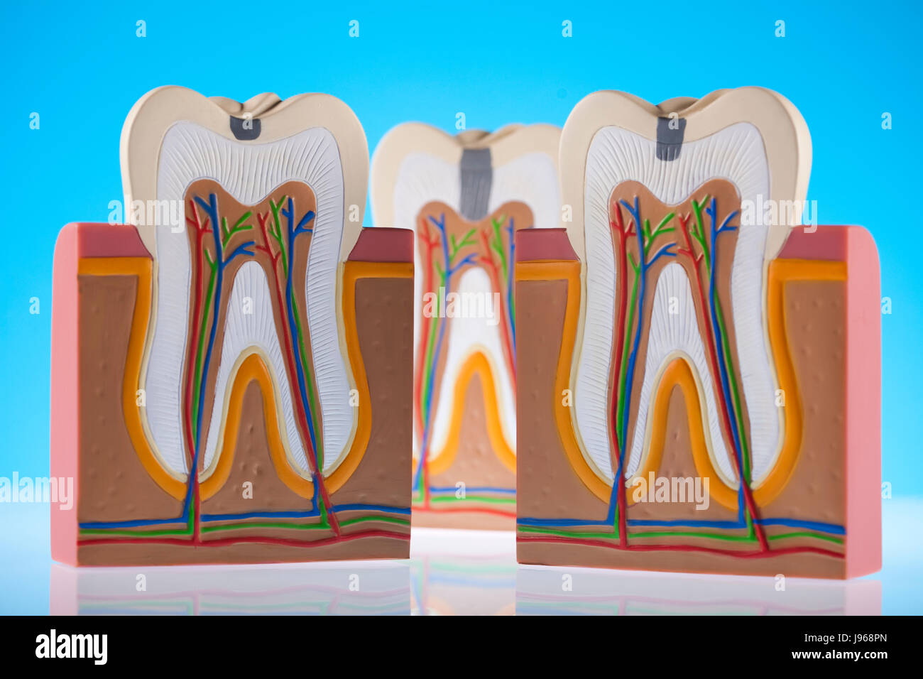 health, teeth, dentist, human, human being, tooth, dental, jagged ...