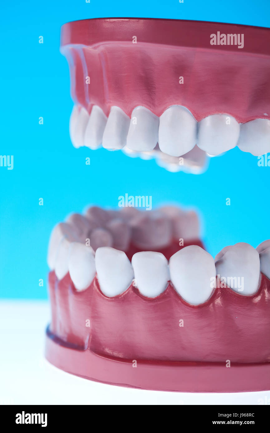 health, teeth, dentist, human, human being, tooth, dental, jagged ...