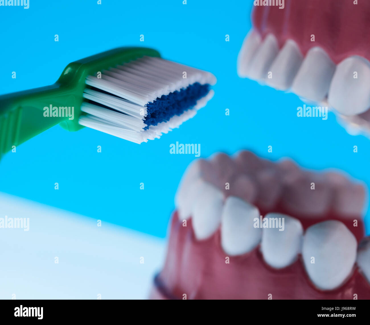 health, teeth, dentist, human, human being, tooth, dental, jagged ...