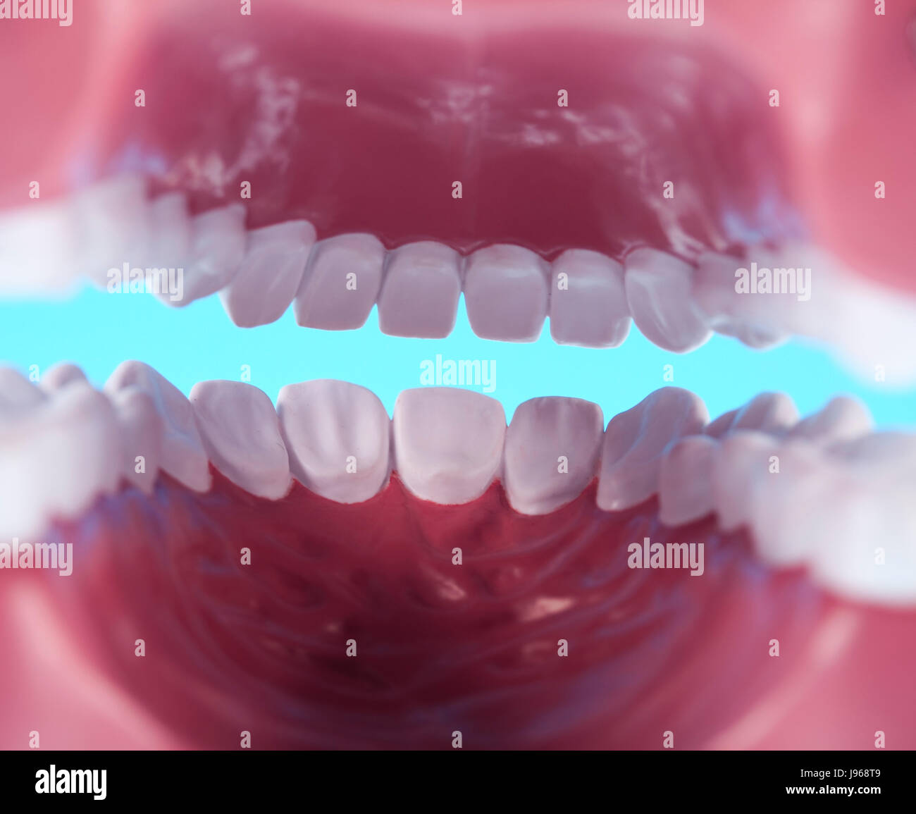 health, teeth, dentist, human, human being, tooth, dental, jagged ...