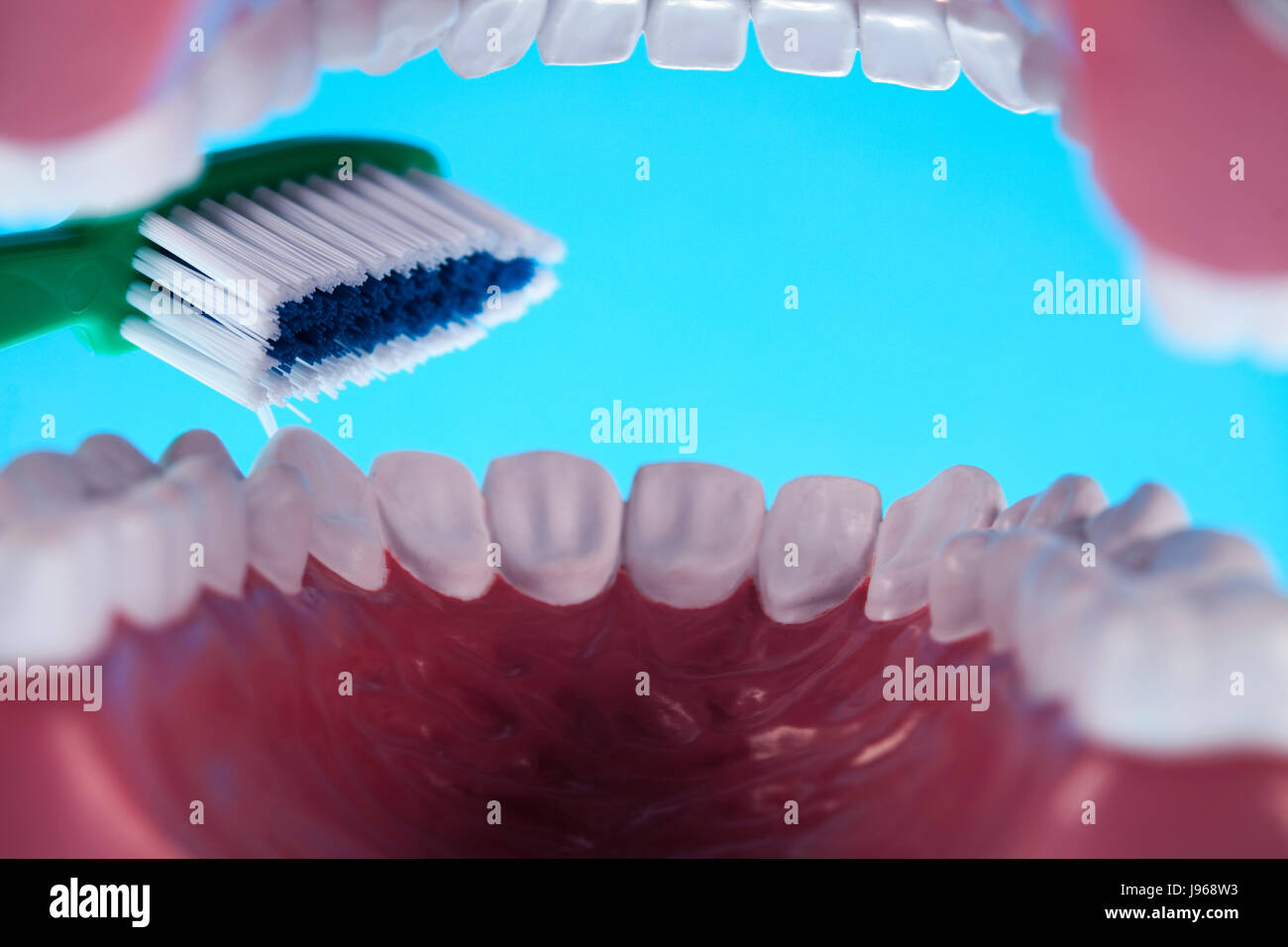 health, teeth, dentist, human, human being, tooth, dental, jagged ...