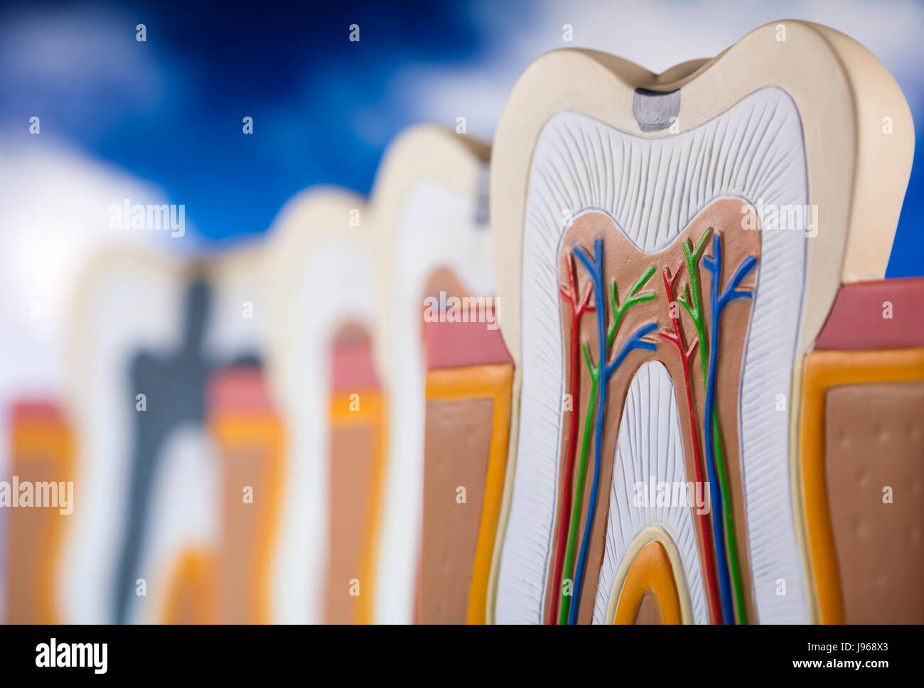 health, teeth, dentist, human, human being, tooth, dental, jagged ...