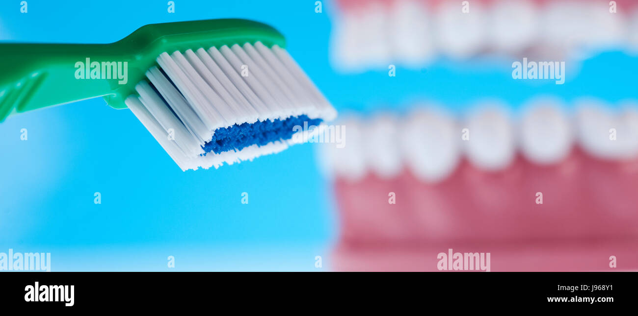 health, teeth, dentist, human, human being, tooth, dental, jagged ...