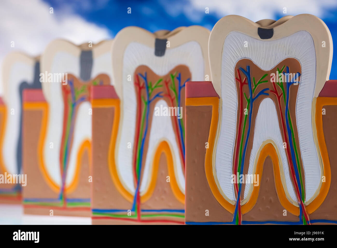 health, teeth, dentist, human, human being, tooth, dental, jagged ...