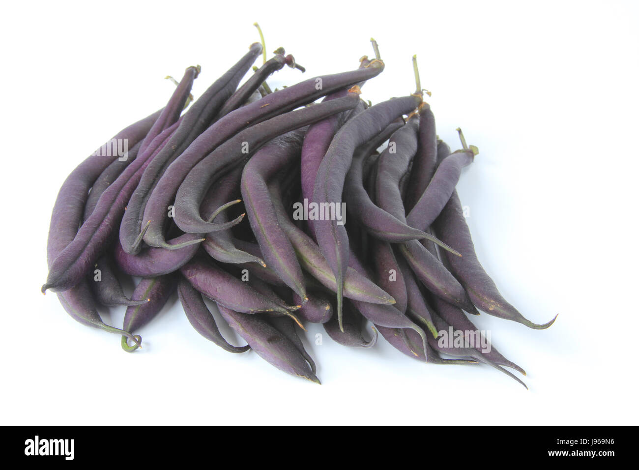 Schmetterlingsbltler faboideae hi-res stock photography and images - Alamy
