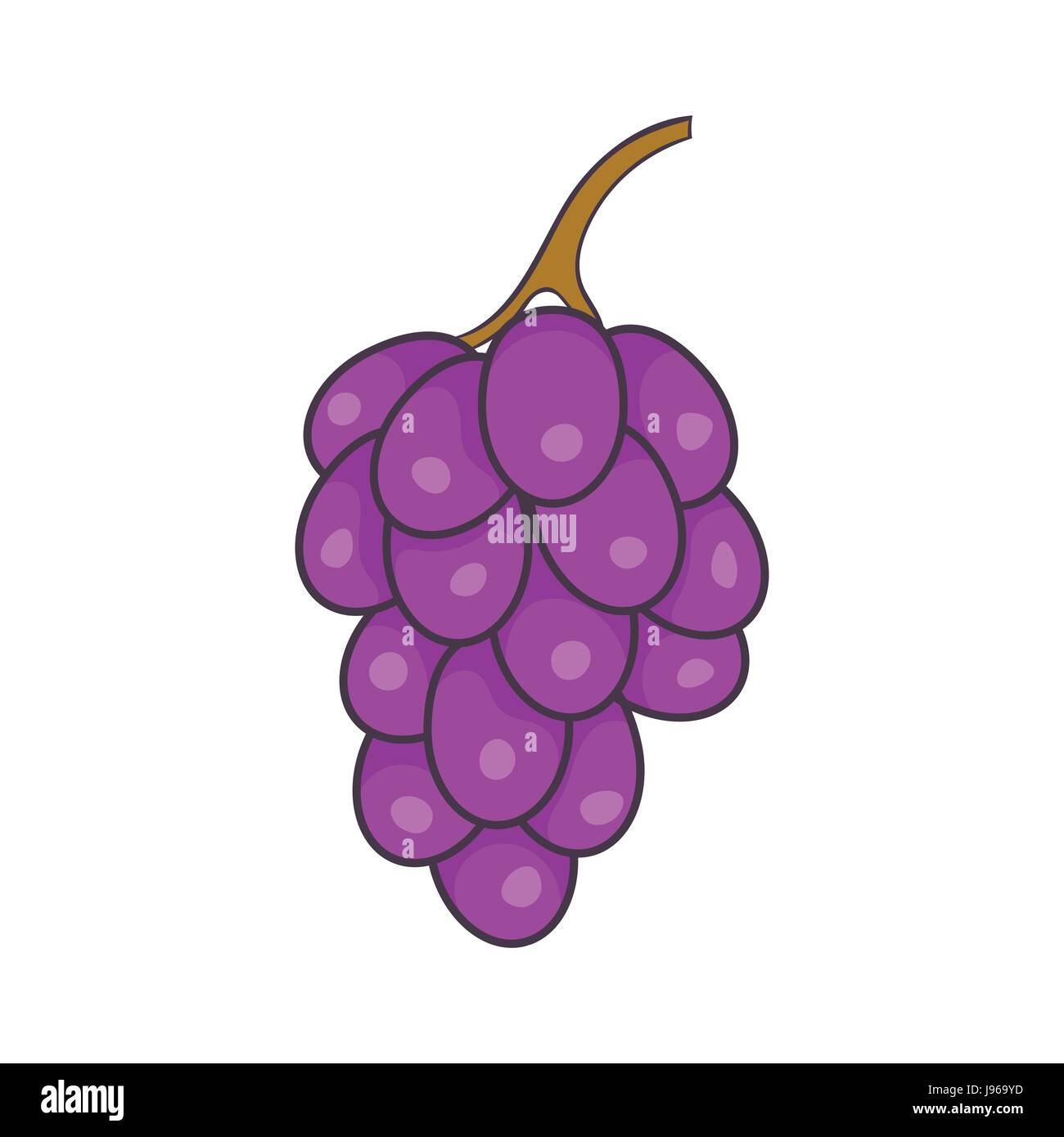 Bunch of seedless grapes Stock Vector Images - Alamy