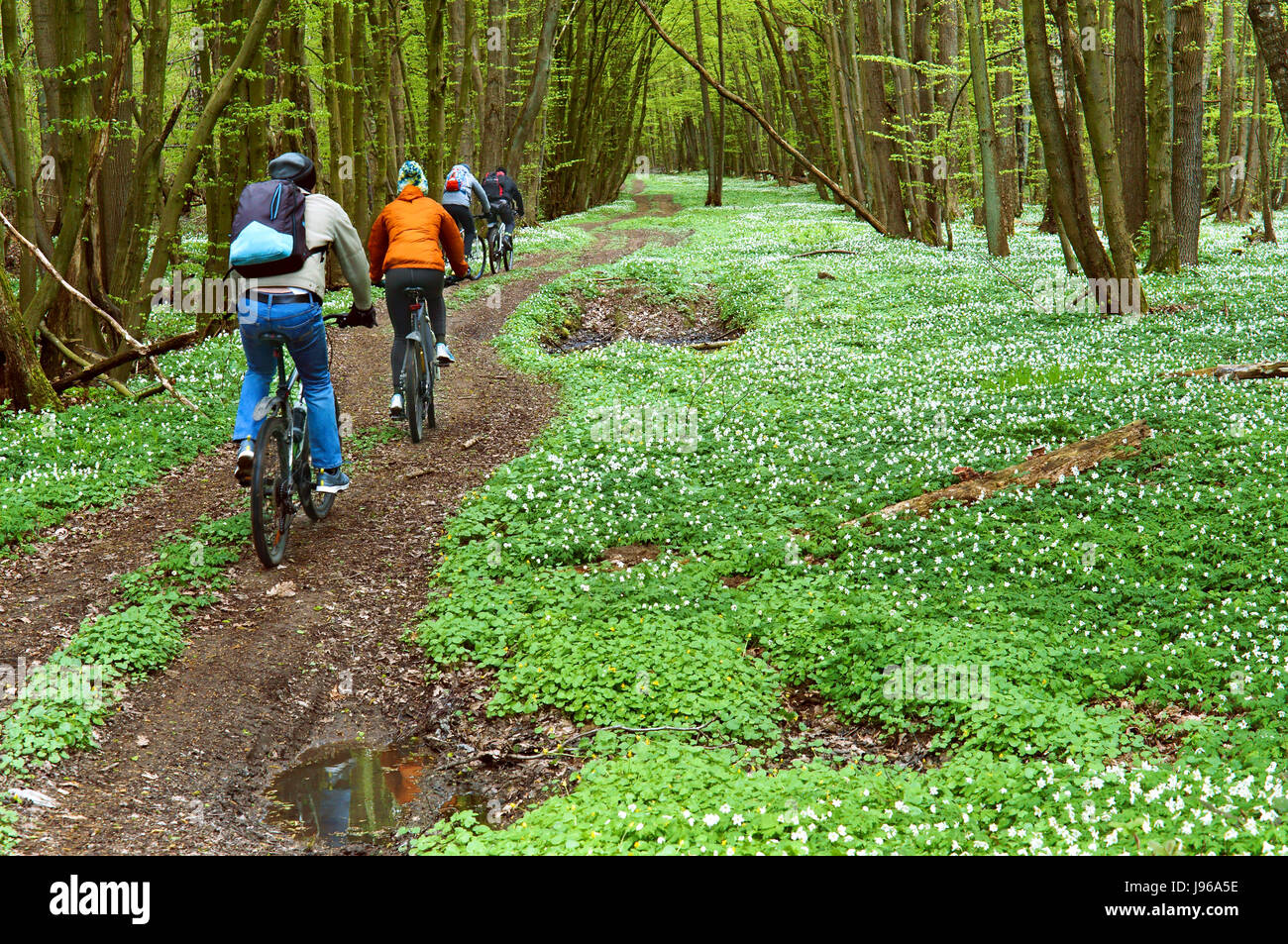 Cycling through the park at sunset hi-res stock photography and images ...