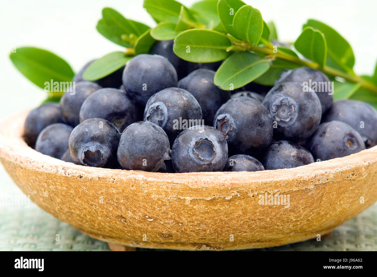blue, food, aliment, sweet, isolated, garden, fruit, plate, diet, raw ...