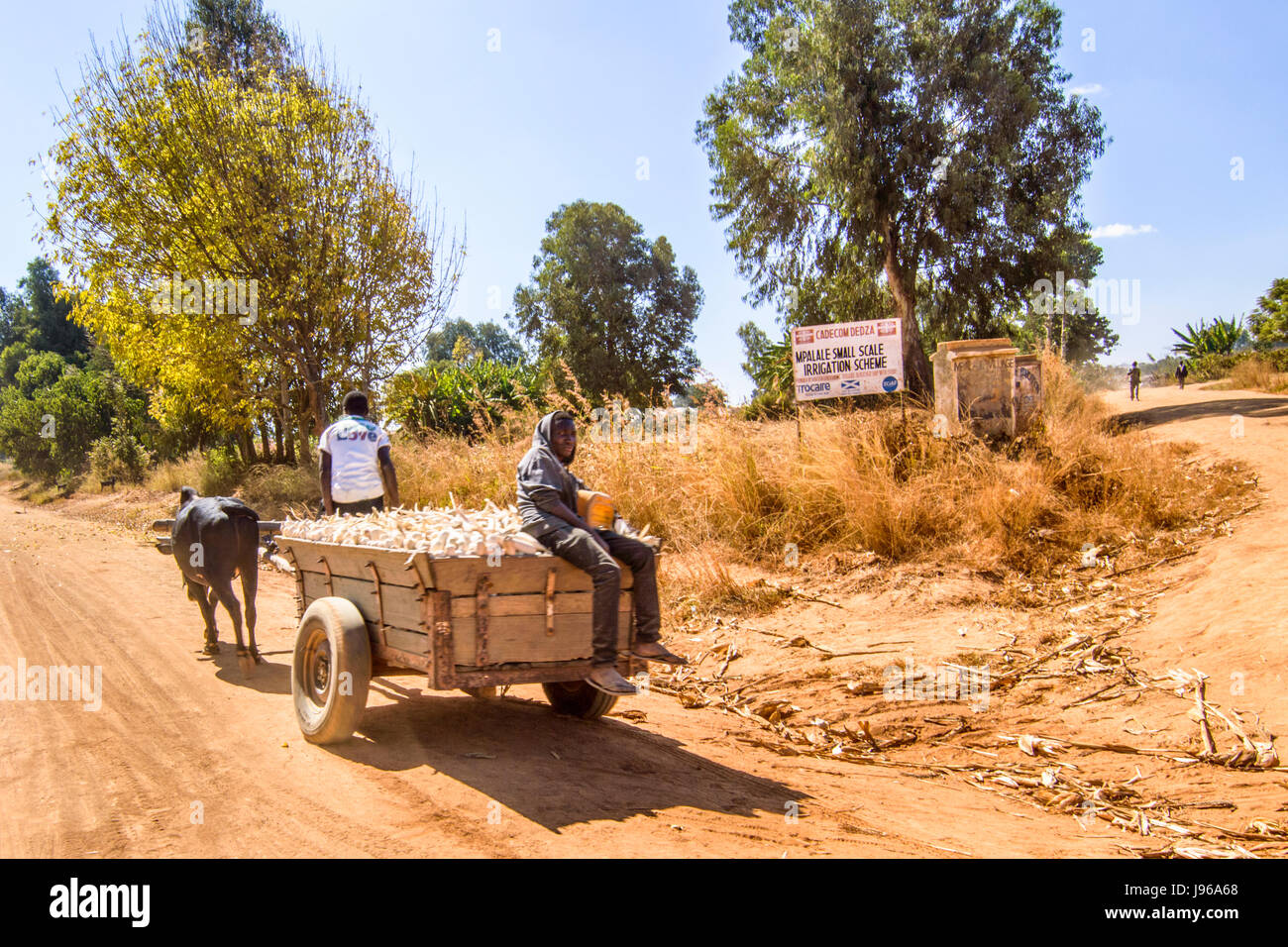 Agriculture africa transport hi-res stock photography and images - Alamy