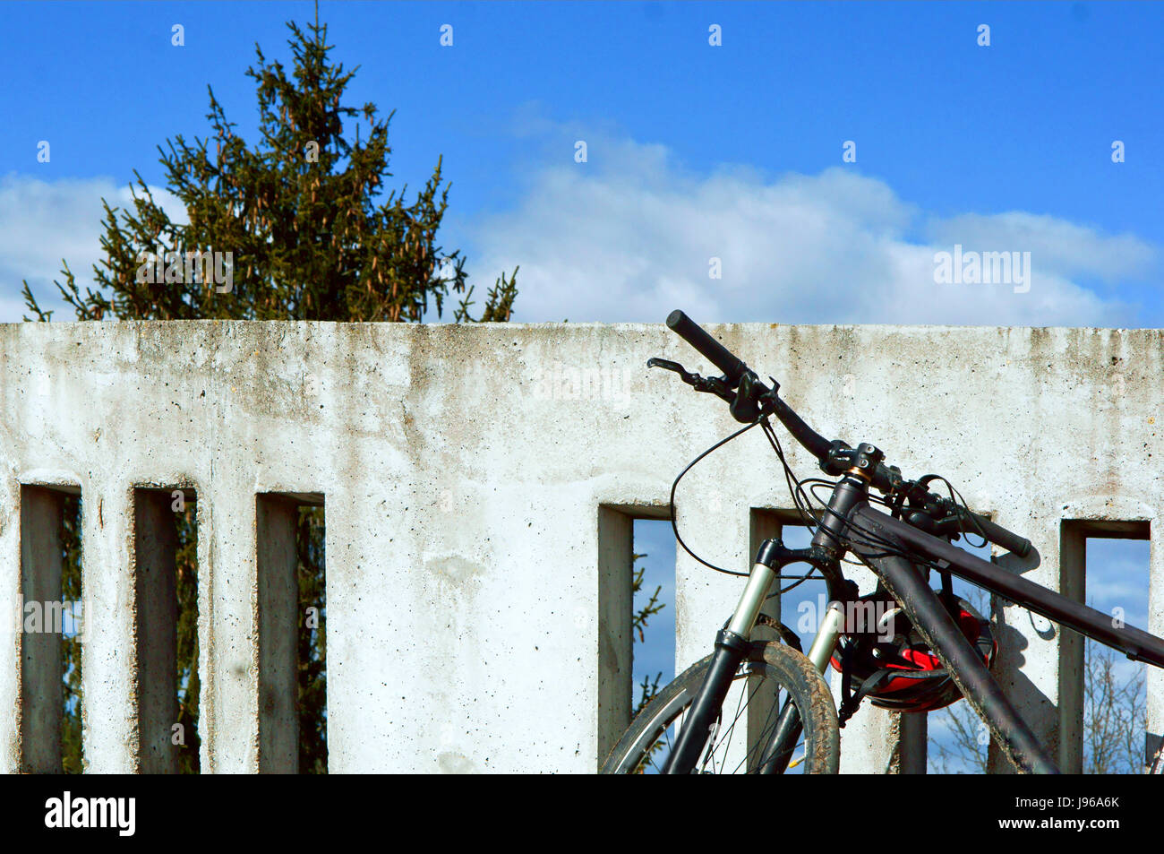 ride, up high, tree, Bicycle, wall, concrete, fencing Stock Photo - Alamy