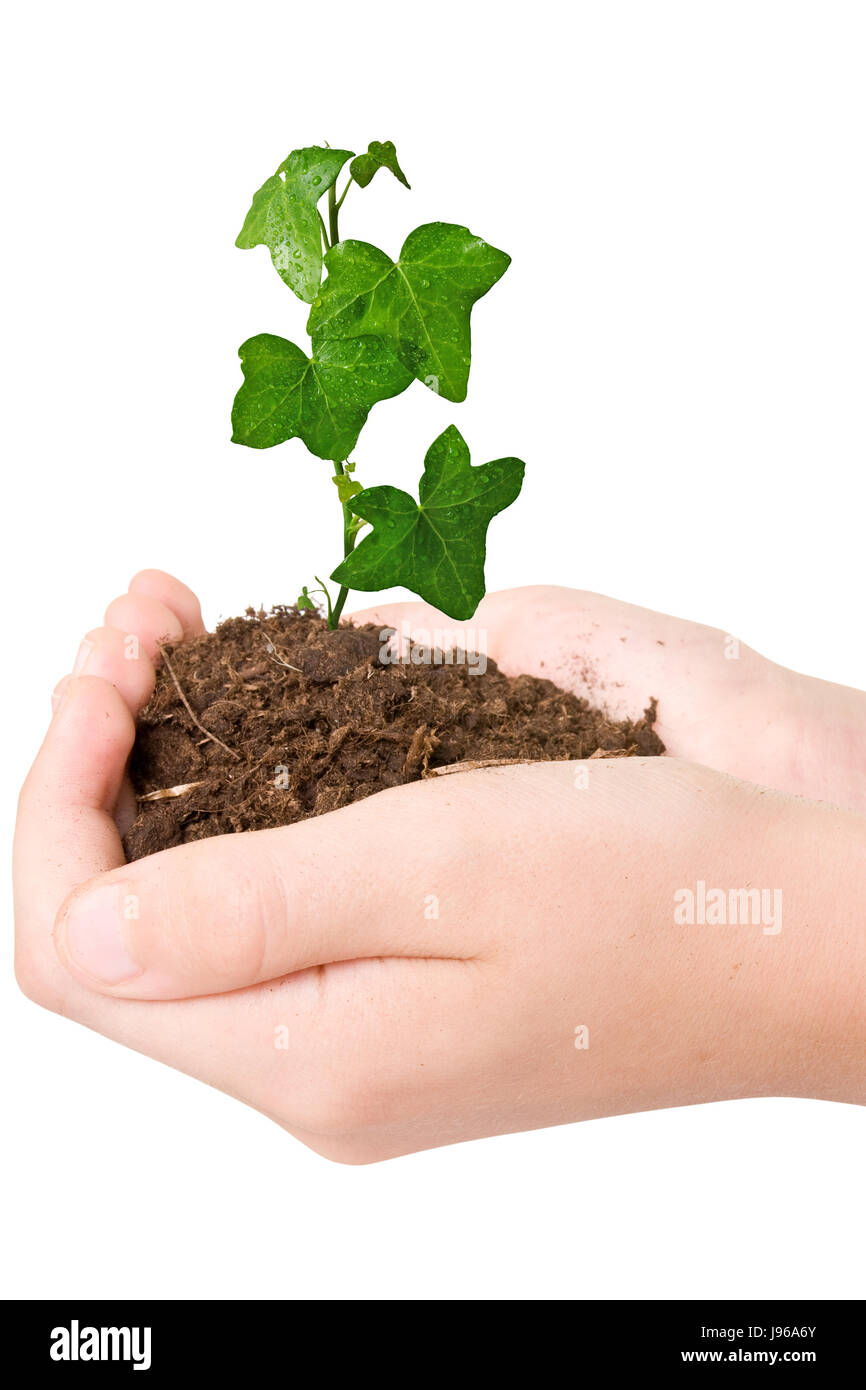 hand, hands, environment, enviroment, green, care, ecology, recycling ...
