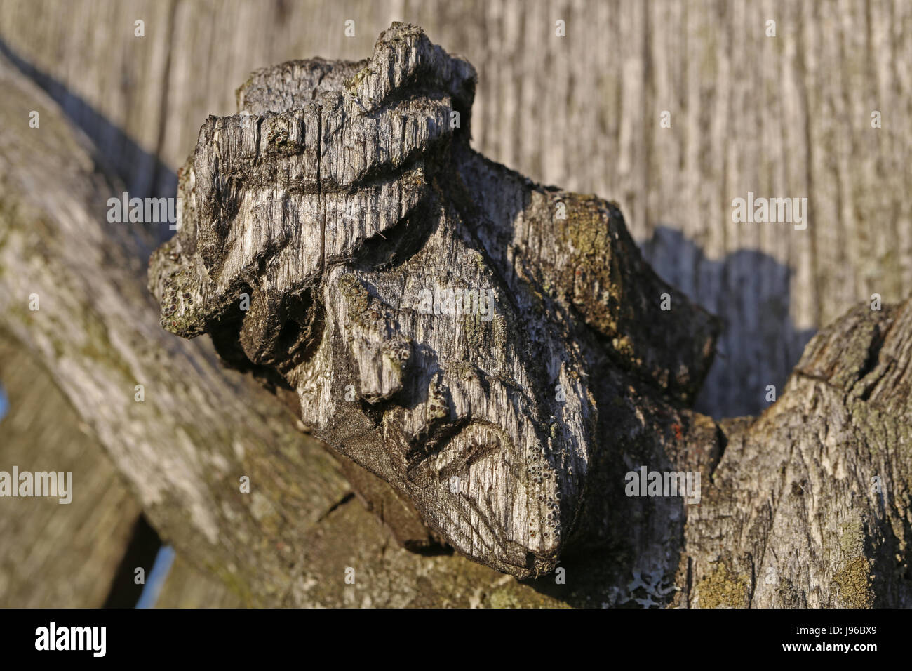 Religion, face of Jesus Stock Photo - Alamy