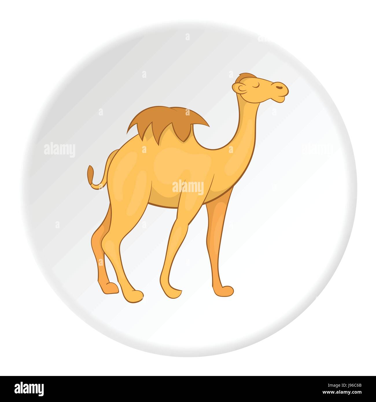 Camel feet Stock Vector Images - Alamy