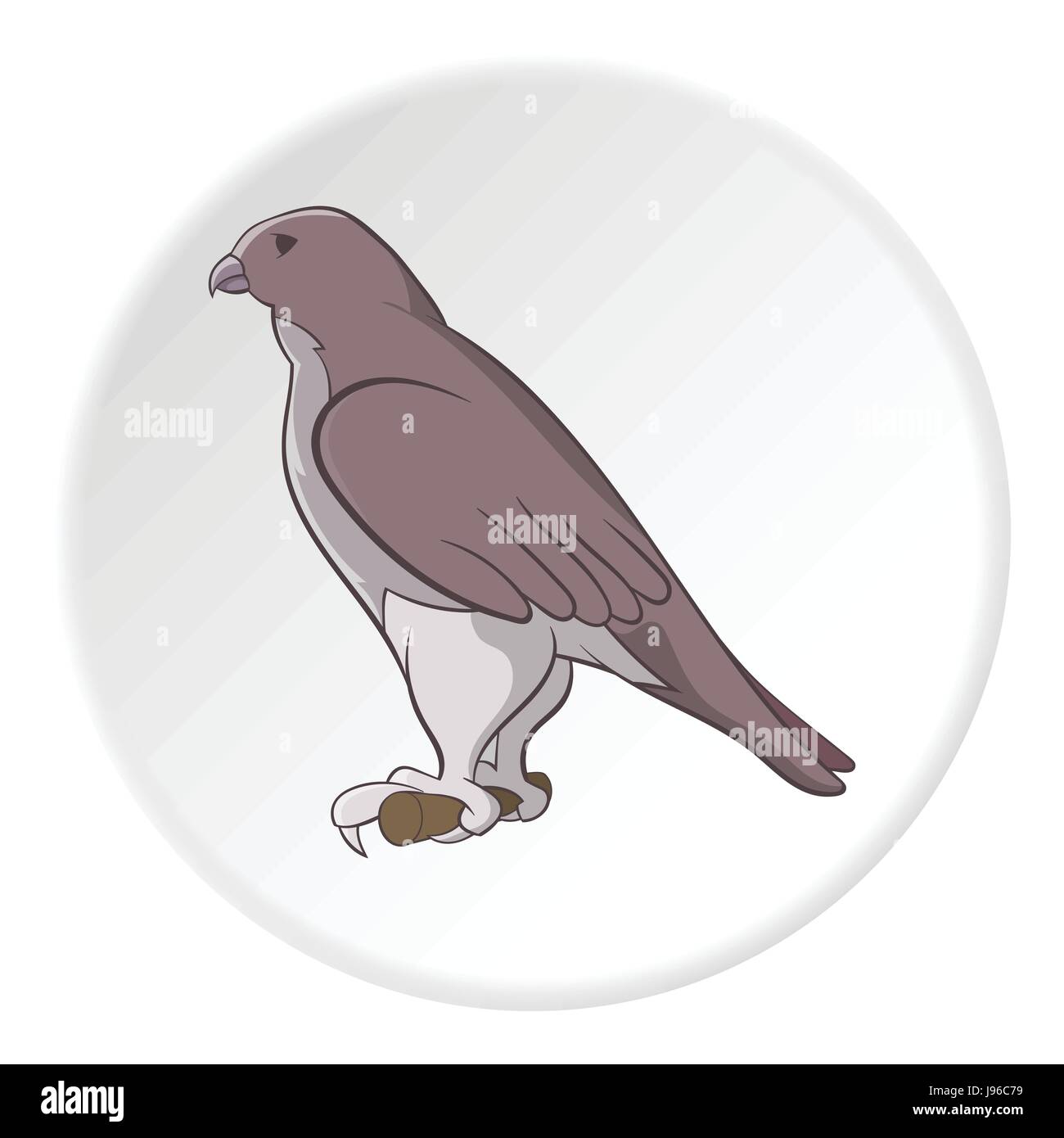 Falcon icon, cartoon style Stock Vector Image & Art - Alamy