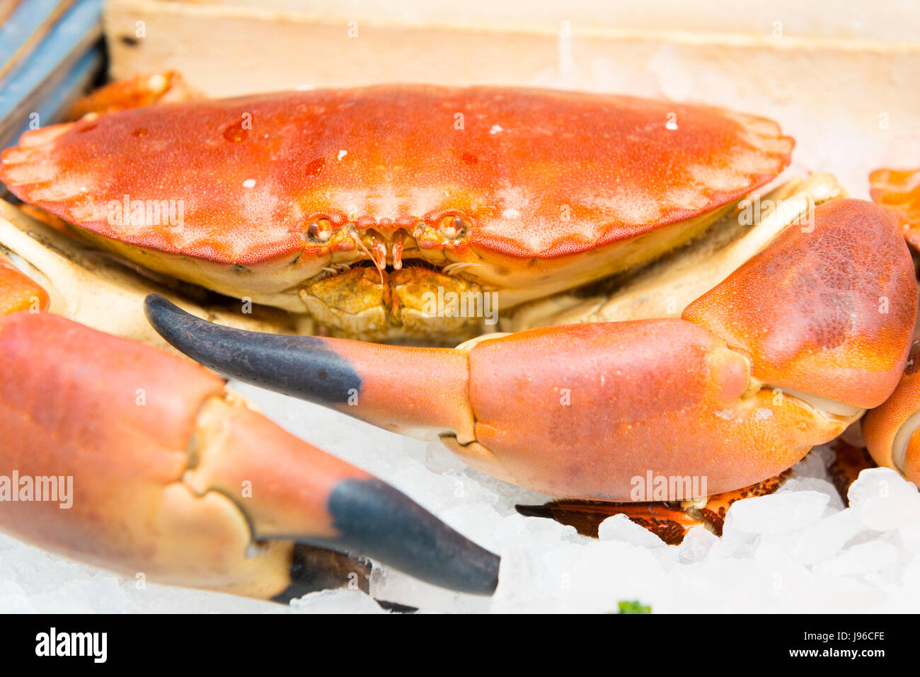 Red crab bridge hi-res stock photography and images - Alamy