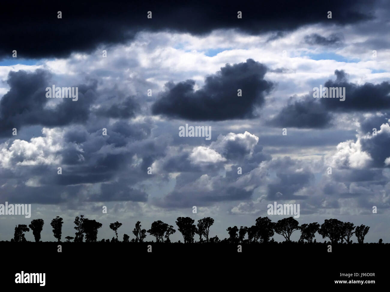 sunset, cloud, sunrise, shape, image, clouds, photo, picture, copy ...