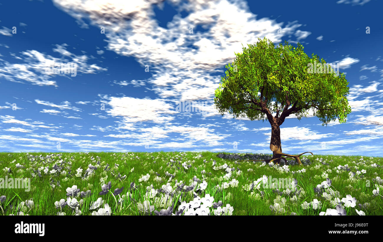 blue, beautiful, beauteously, nice, leaf, environment, enviroment ...