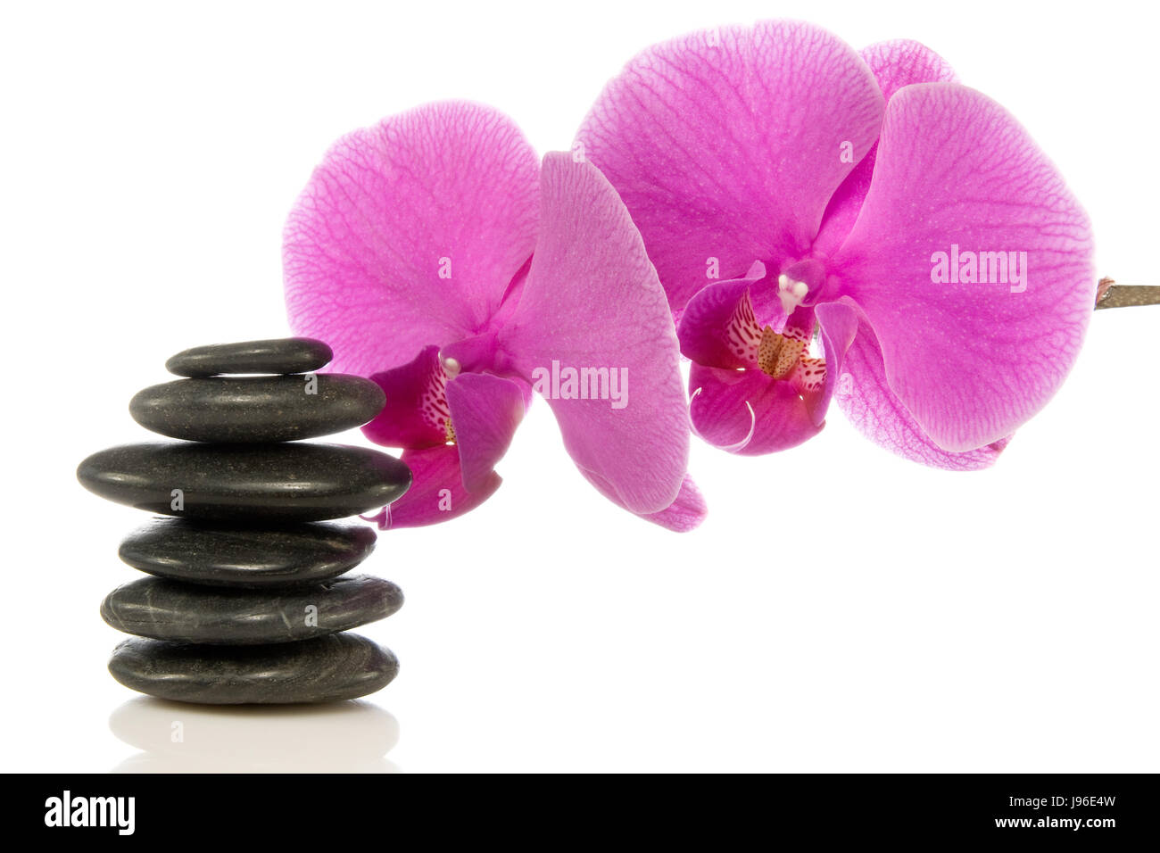 stone, flora, therapy, pebble, spa, mineral spring, medicinal spring ...