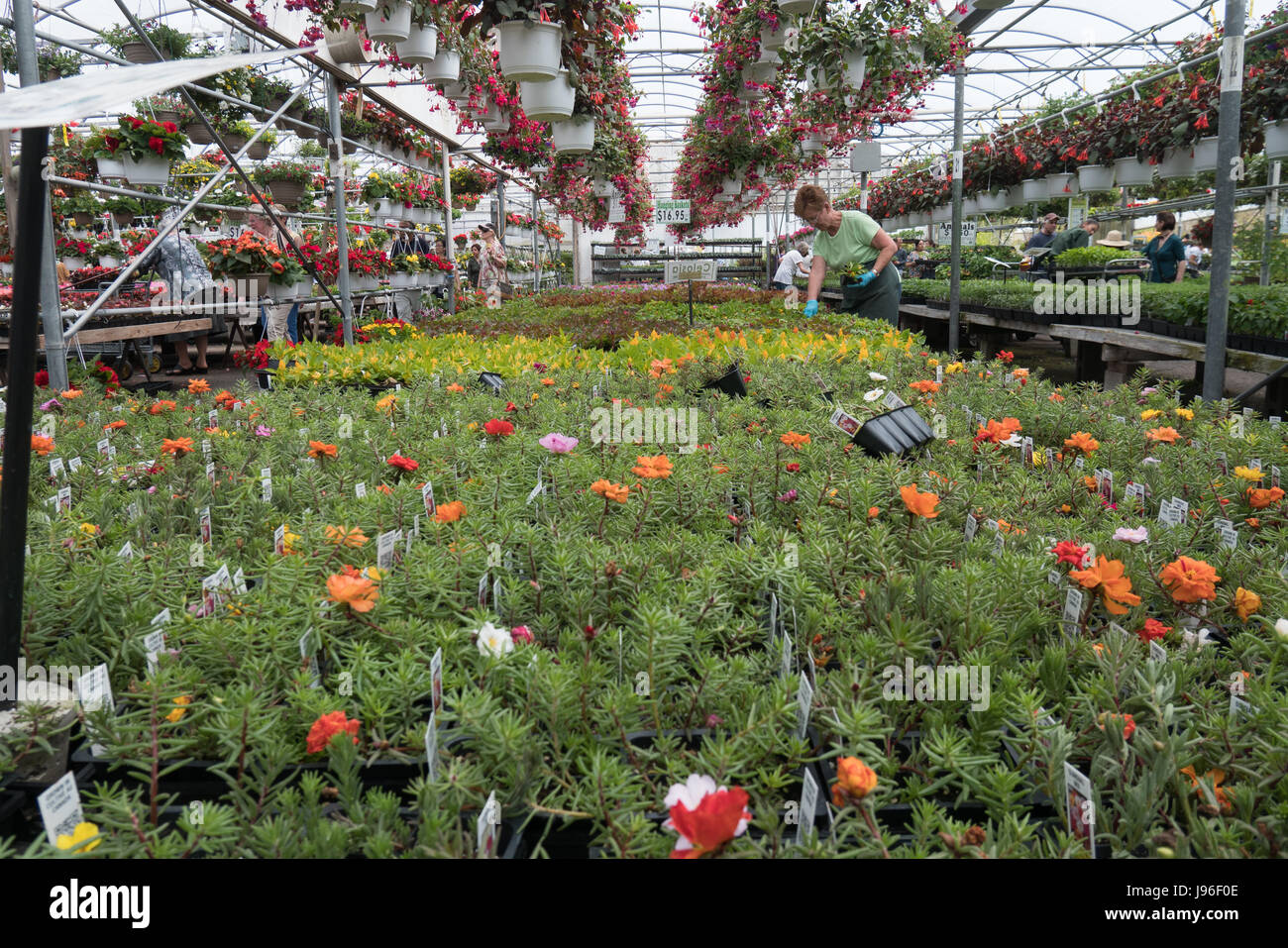 Inside gardening center hi-res stock photography and images - Alamy