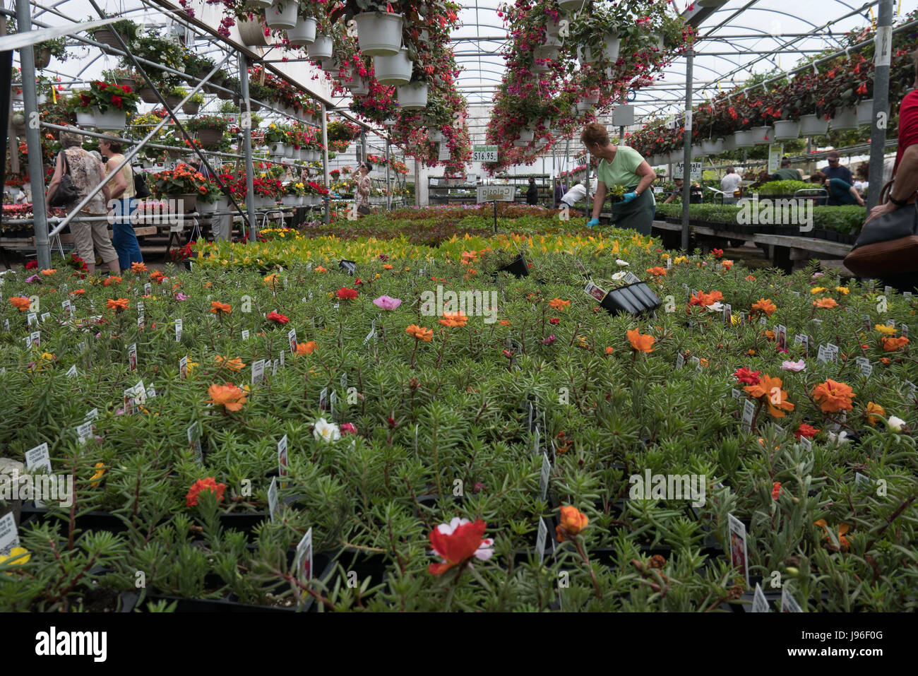 Inside gardening center hi-res stock photography and images - Alamy