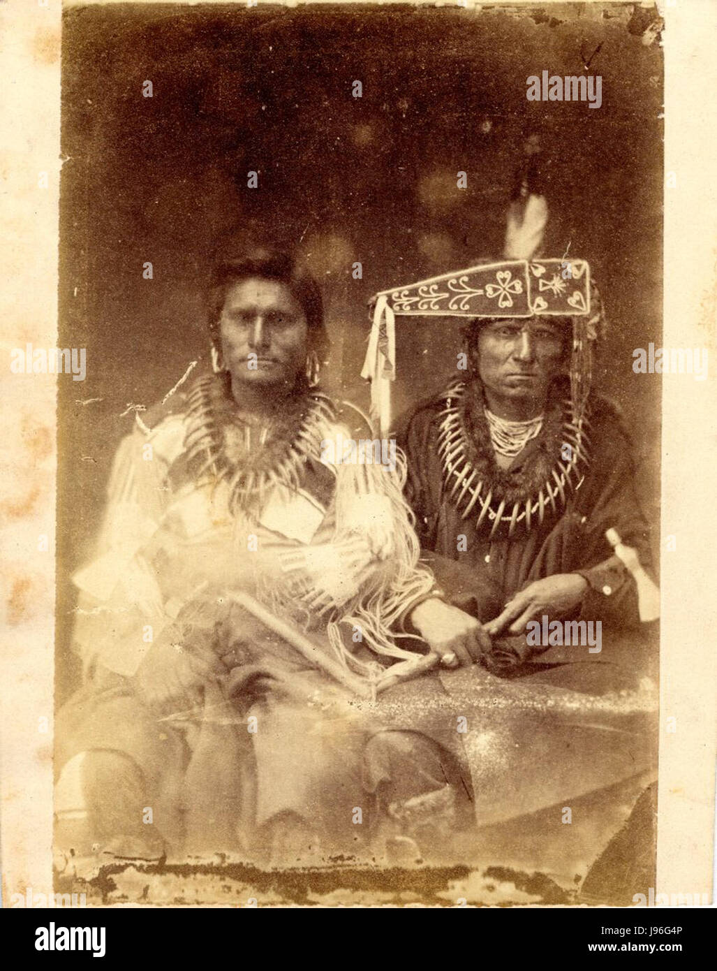 Sac and fox hi-res stock photography and images - Alamy