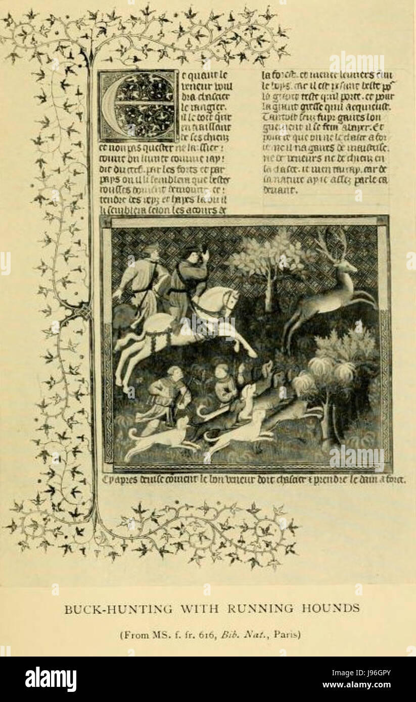 Medieval hunting hi-res stock photography and images - Alamy